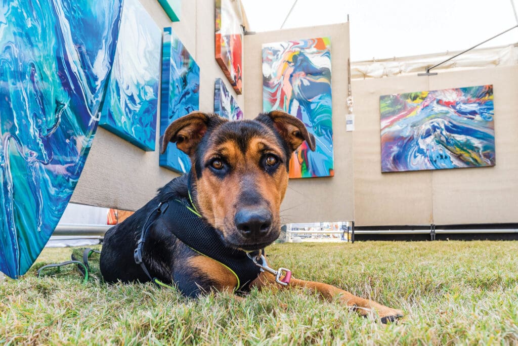 Festival of the Arts Marks 30 Years of Color, Creativity and Community ...