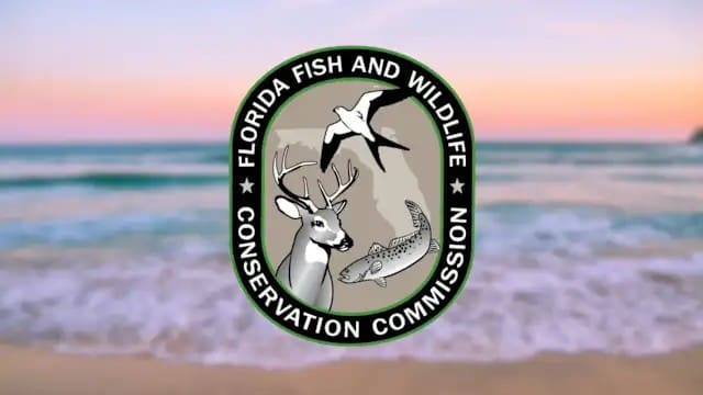 FWC Concludes Operation Processor 24 to Protect Wildlife and Prevent ...