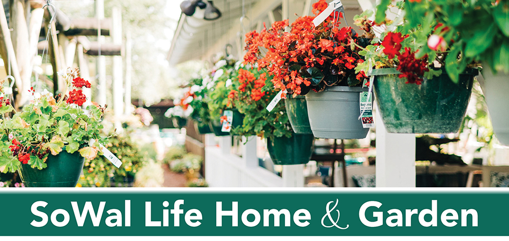 SoWal Life Home & Garden - South Walton Life | 30A News, Events and ...